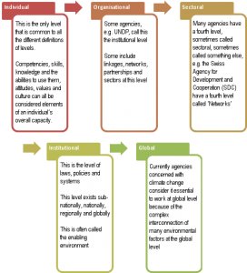 Capacity: a summary of the core concepts (levels, types, and themes ...